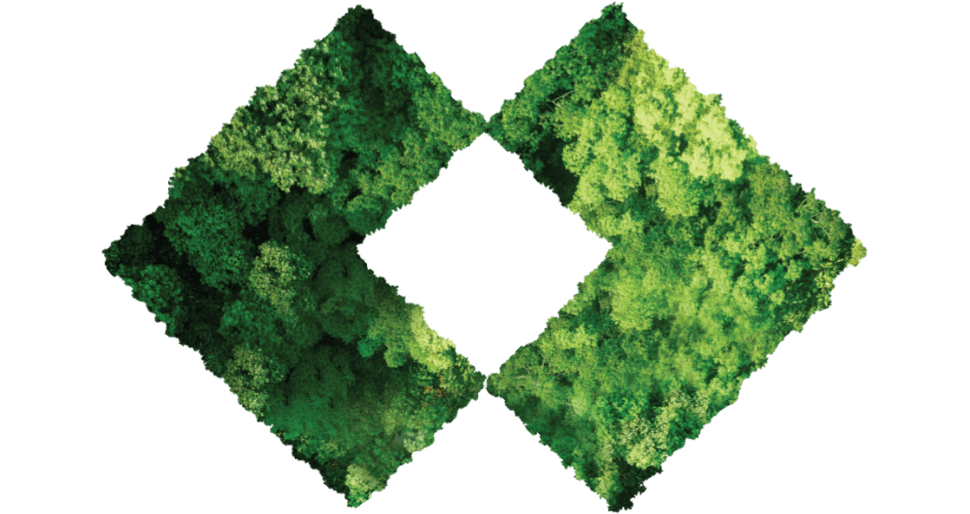 Techcombank Visa Eco Debit Card | Techcombank